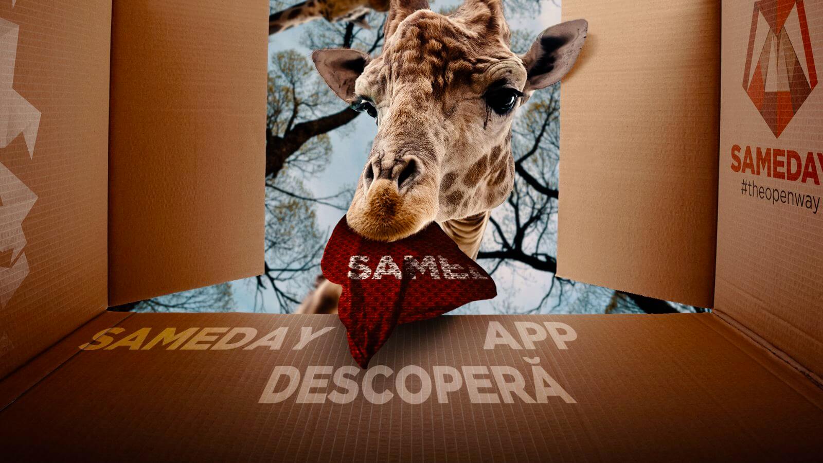 Sameday – Trimite Rapid Colete - Curier Rapid National